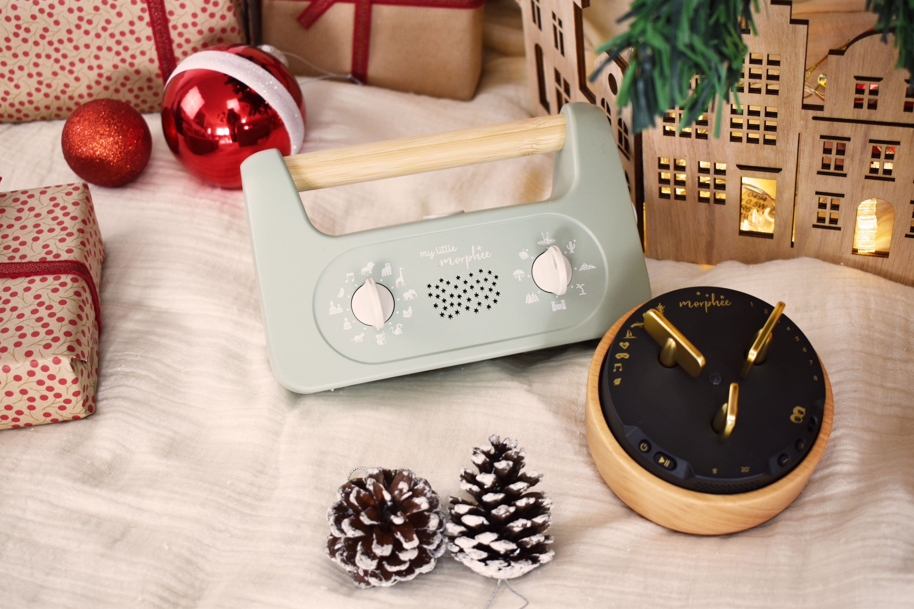 My Backyard Chronicles