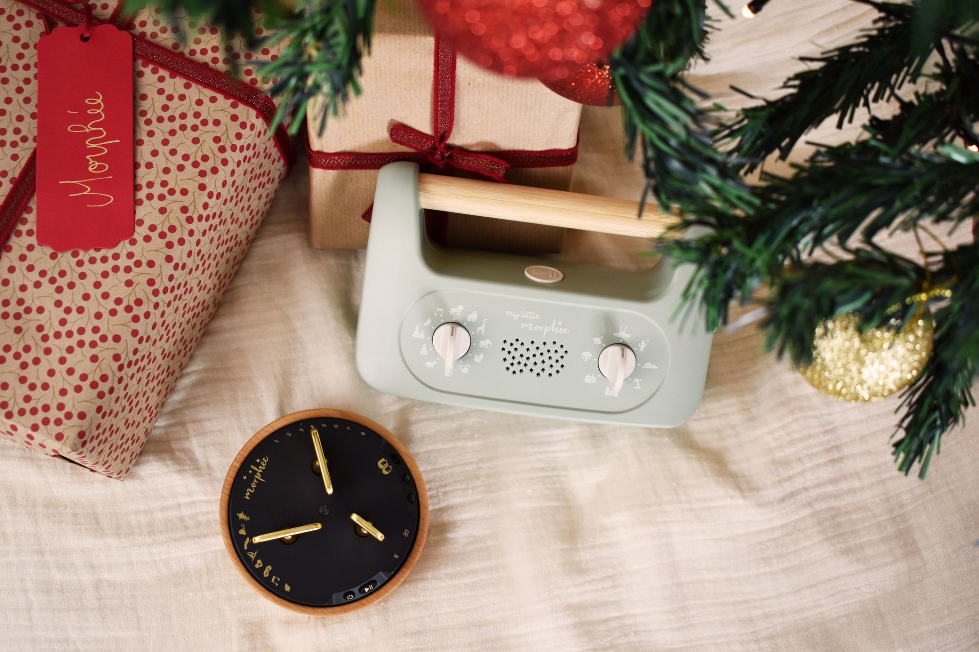 My Backyard Chronicles