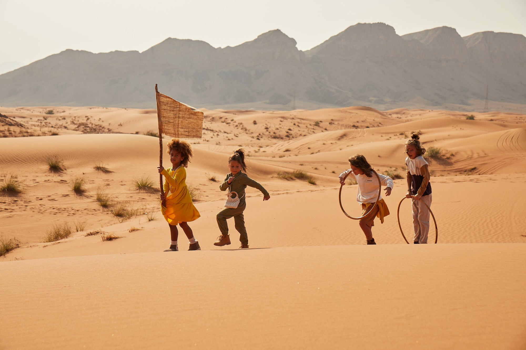 My Backyard Chronicles